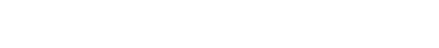 Lippmann - MPP Global