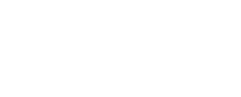 MPP Aftermarket - MPP Global